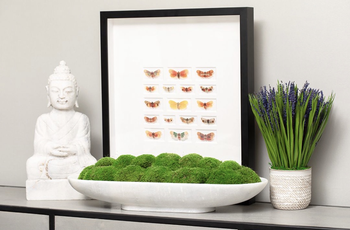 Botanica Store – Botanica